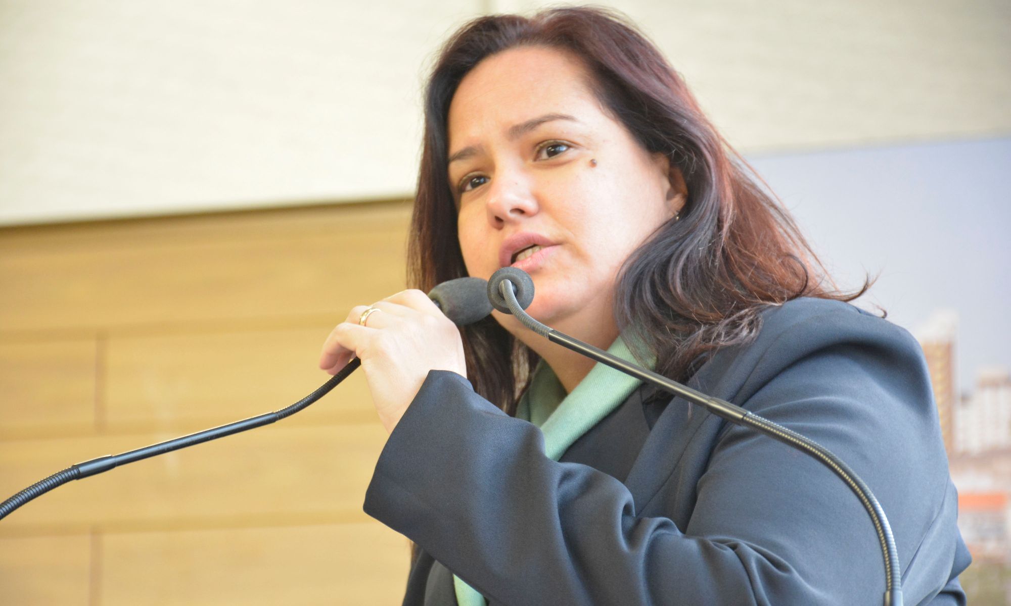 Lei Maria da Penha – 12 anos na construção de um novo olhar sobre a ...
